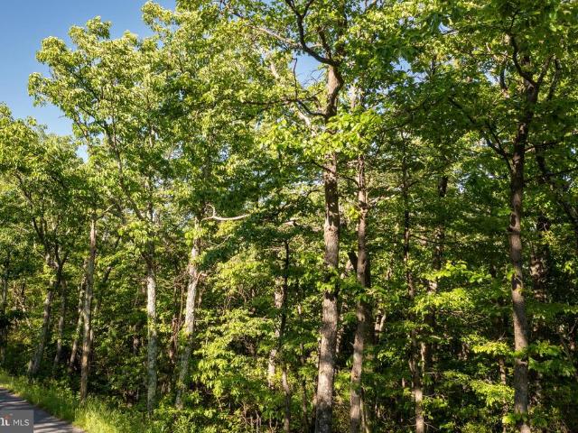 LOT 342 Archwood Trail