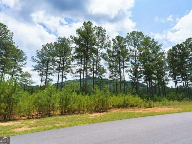 LOT 343 Loop Lane