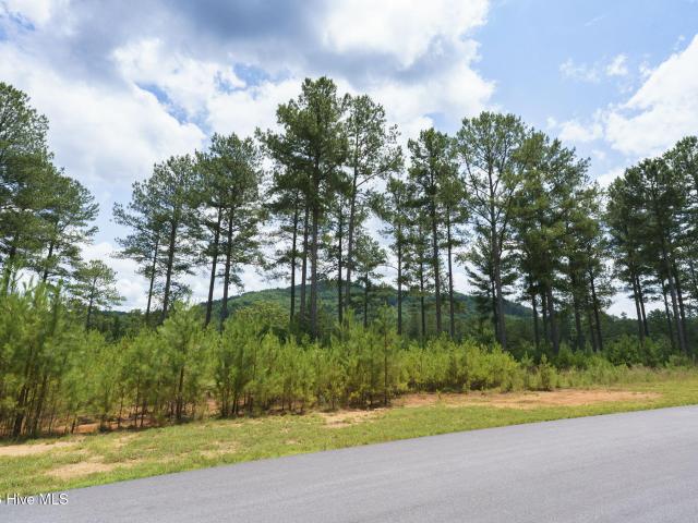 Lot 343 Loop Lane # 343