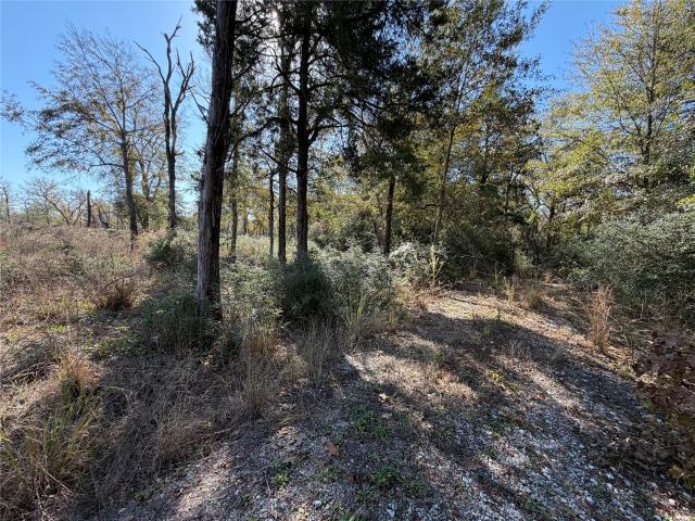 Lot 34 Cr 389 Jewett Tx 75846, Marquez, TX 77865 | MLS #17990