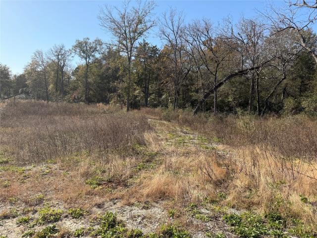 Lot 34 Cr 389