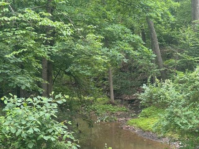 Lot 34 Audubon Rd