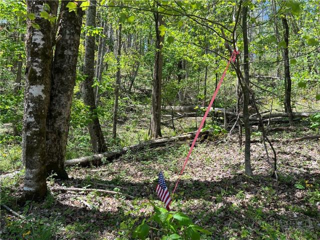 Lot# 34 Buckeye Creek Road