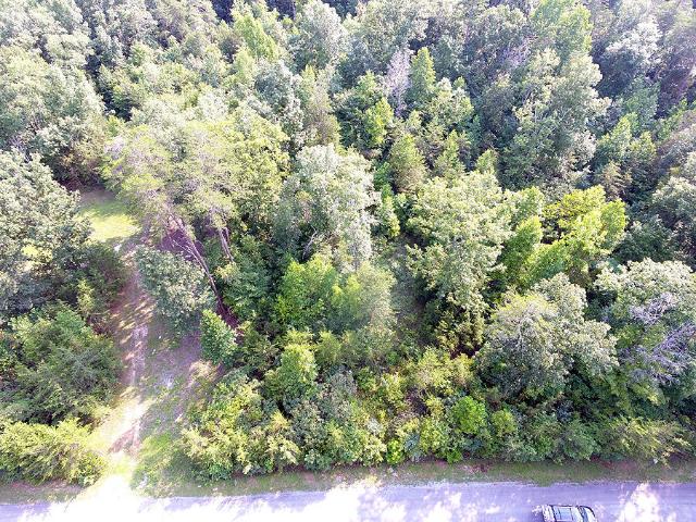 Lot 34 Doc Nichols Landing
