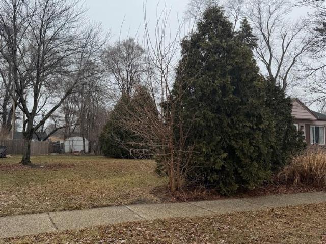 Lot #34 E Madge