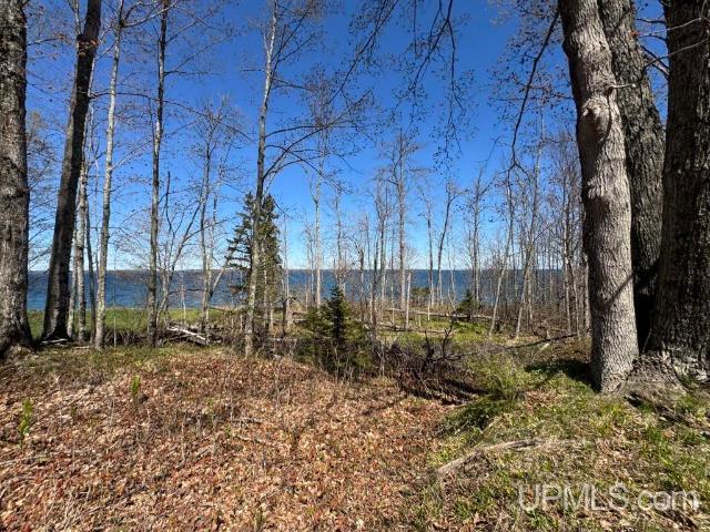 Lot 34 Forest Drive