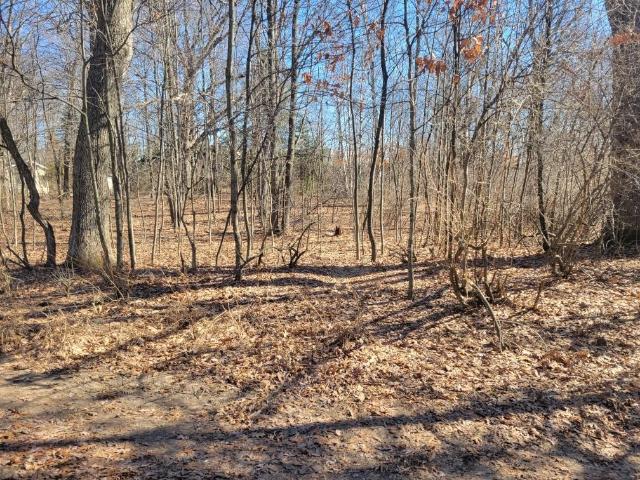 Lot 34 Seelinger Drive