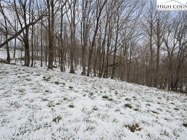 Lot 34 Poplar Forest Drive