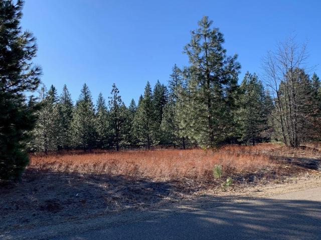 Lot 34 Princess Pine Place