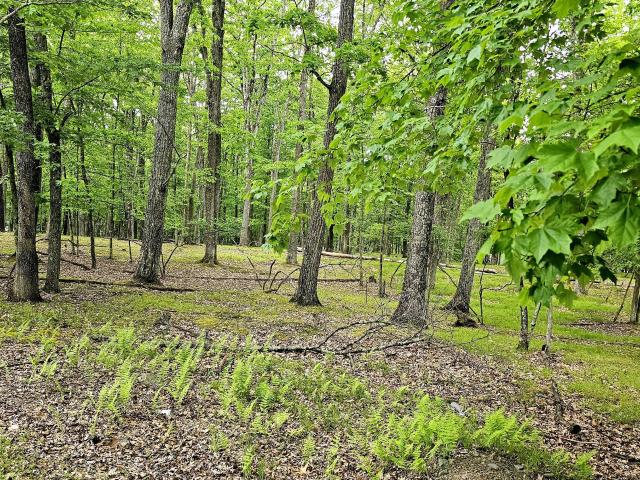 Lot 34 Westcolang Road