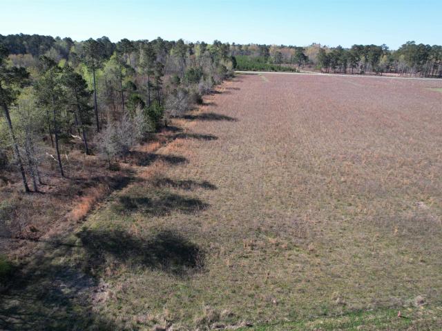 Lot 34 TBD Gulley Ln