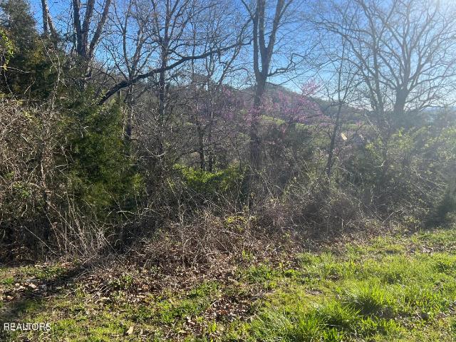 Lot 356R Larayne Hollow Rd