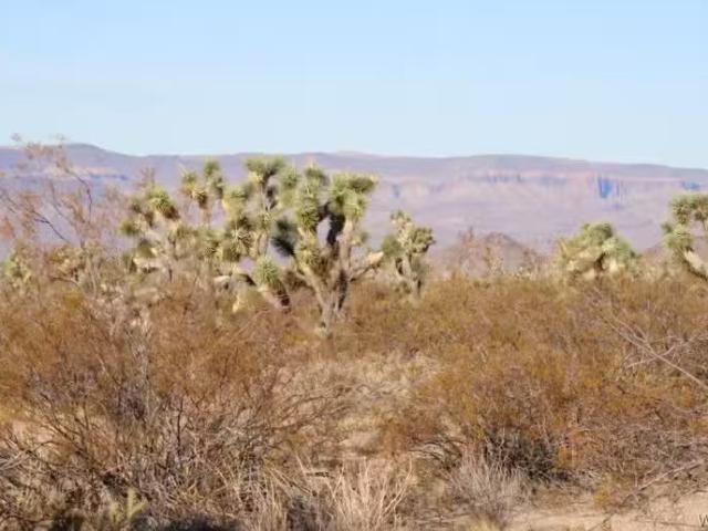 Lot 357 E Adobe Dr, Yucca, AZ 86438 MLS 026240
