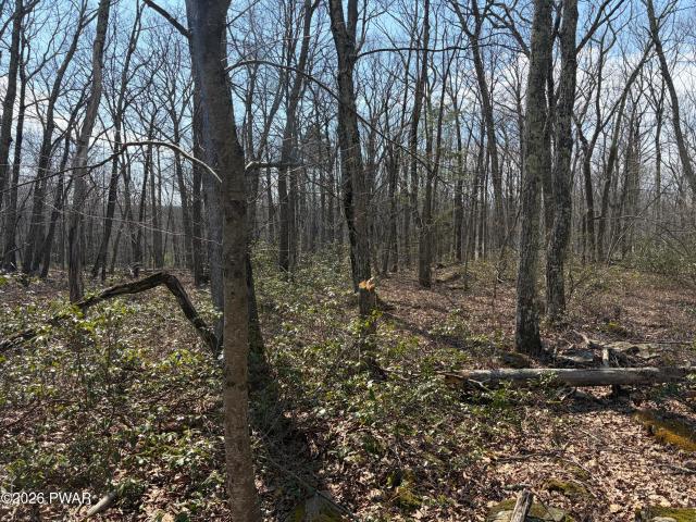 Lot 3509 Walton Way & Stockton Drive