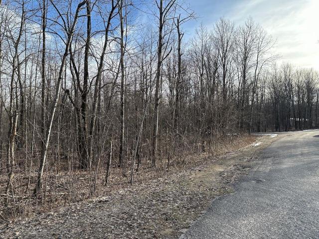 Lot 351 Dellwood # Lot: 351