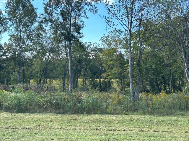 Lot 35 cordova cv
