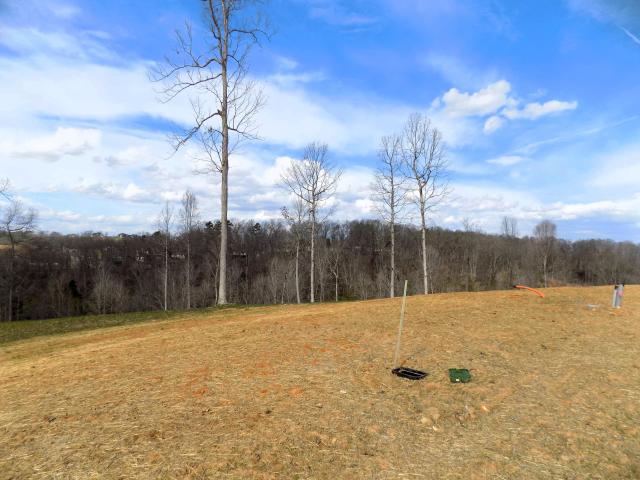 Lot 35 Graystone Shoals