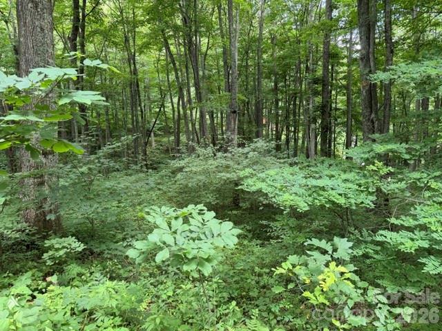 Lot 35 Odalu Trail # 35