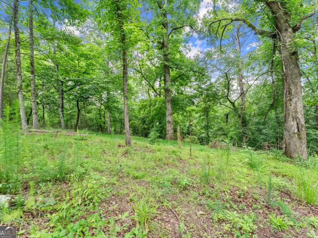 LOT 35 Lakemont Trail
