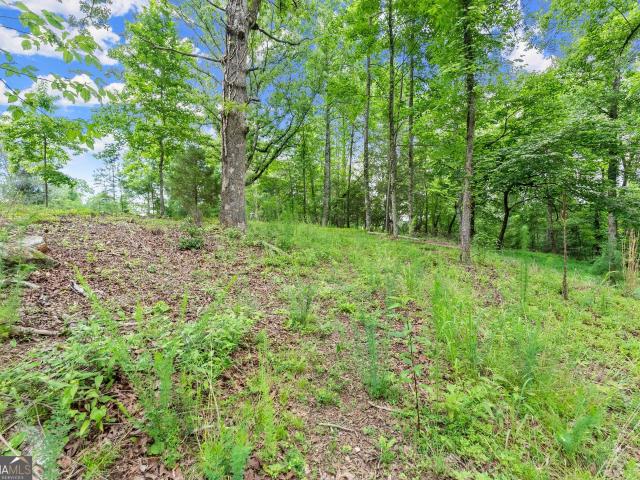 LOT 35 Lakemont Trail