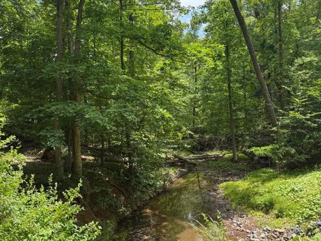 Lot 35 Maverick Trail