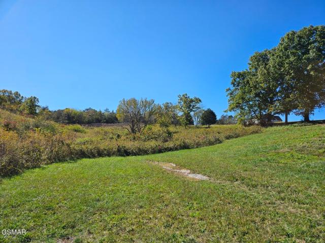 Lot 35 Shoreline Vista
