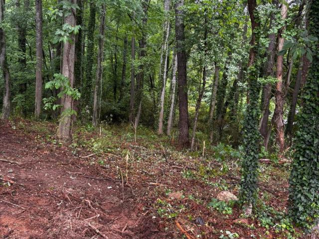 Lot 35 Ryman Ridge Rd, Dalton, GA 30720 | MLS #1533