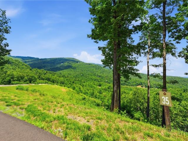 Lot 35 Wildcat Wilderness Parkway