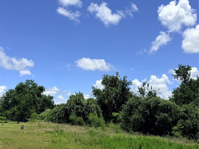 Lot 35 Winding Branch