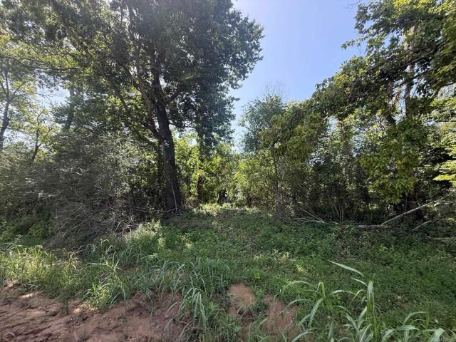 Lot 35 Up River