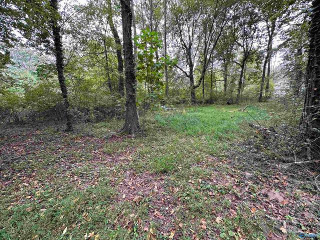 Lot 36 & 37 Monte Sano Blvd