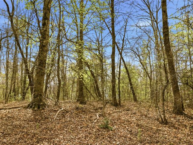 Lot 36 Brandywine Drive