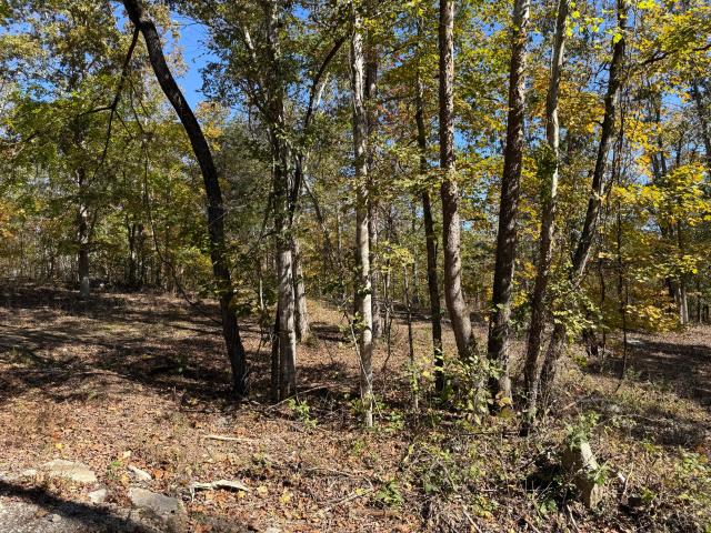 Lot# 36 Buck Creek Circle