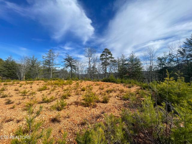 Lot 36 Bullet Mountain Drive