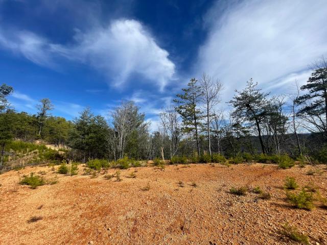 Lot 36 Bullet Mountain Drive