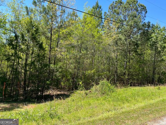 LOT 36 Omaha Drive