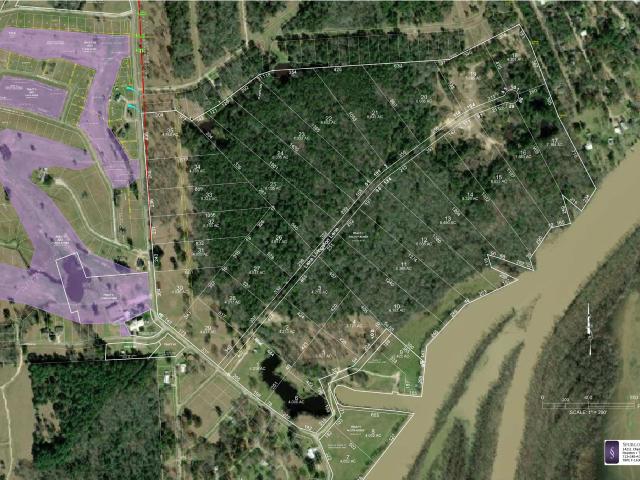 Lot 36 Lake Livingston Lane