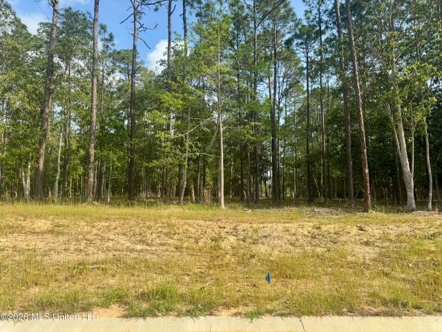 Lot 36 Maluhia Drive