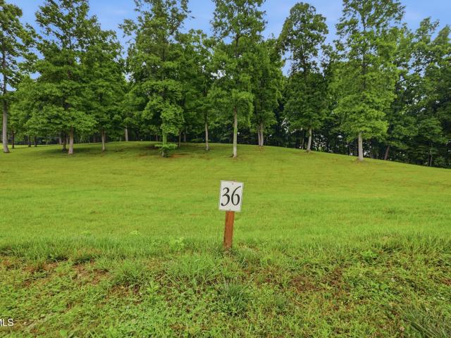 Lot 36 Summerfield Drive