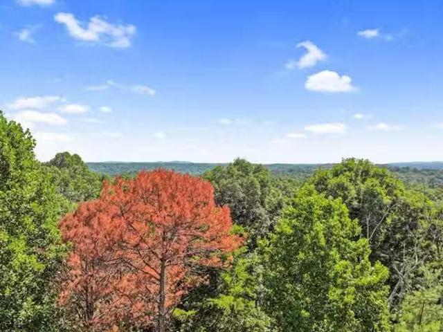 Lot 36 Timberwalk Dr #11, Ellijay, GA 30540 MLS 10334562