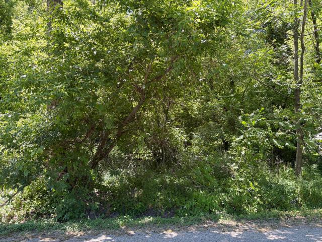 Lot 3759 Vine Rd, Unit Lt 3759 3 Vine