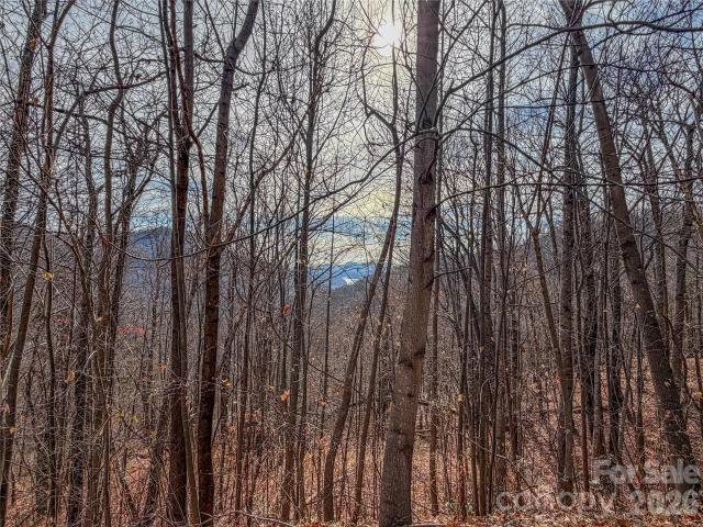 Lot 375 Rolling Ridge Trail, Black Mountain, NC 28711 | MLS #4325