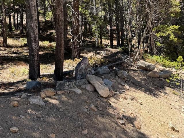 Lot 378 Alice Road