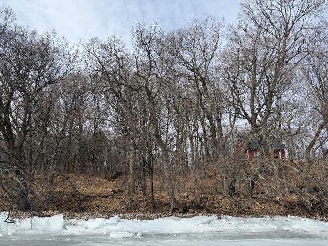 Lot 37&38 Earle Brown Drive