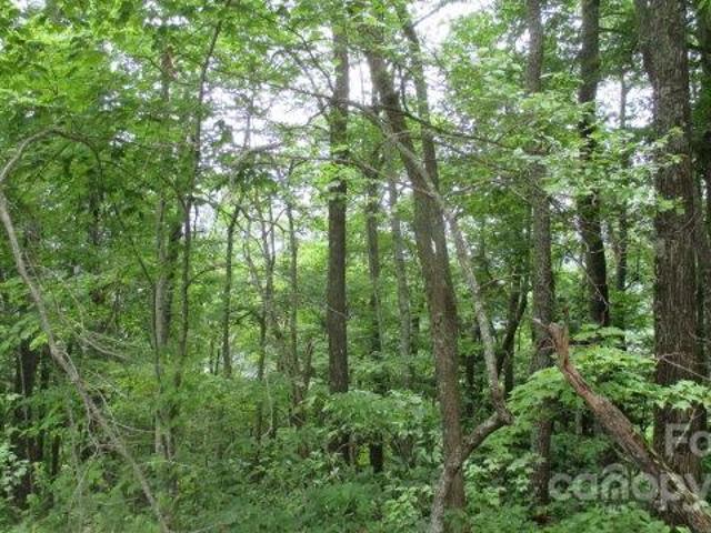 Lot 37 Deeplow Gap None
