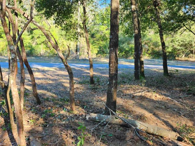 Lot 37 Diane Pl, Chipley, FL 32428 | MLS #989117 | Compass