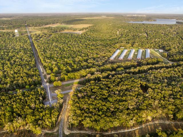 Lot 37 Holly Lk Ct, DeFuniak Springs, FL 32433 | MLS #996637