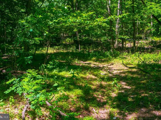 Lot 37 Poplar Trl