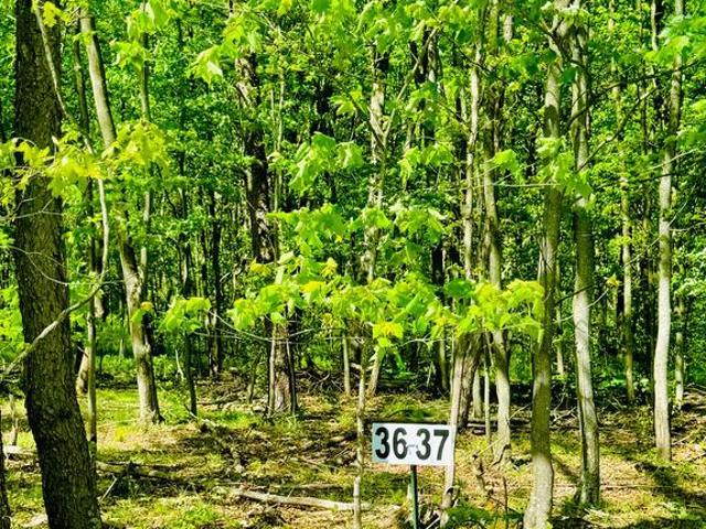Lot: 37 Paradise Point