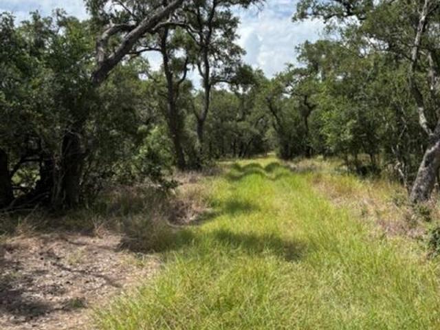 LOT 37 Pr 2532
